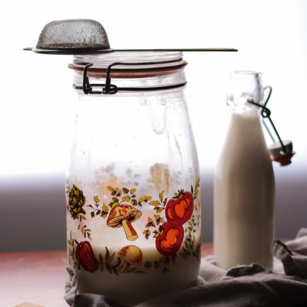 An Introduction to Raw Milk Kefir - Through the Wildwood