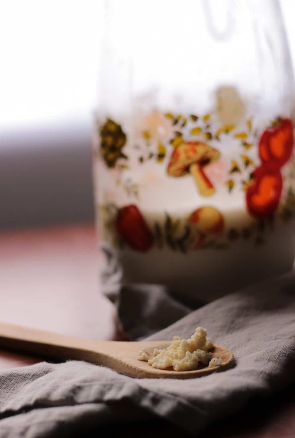 Raw Milk Kefir: Everything You Need to Know - Through the Wildwood