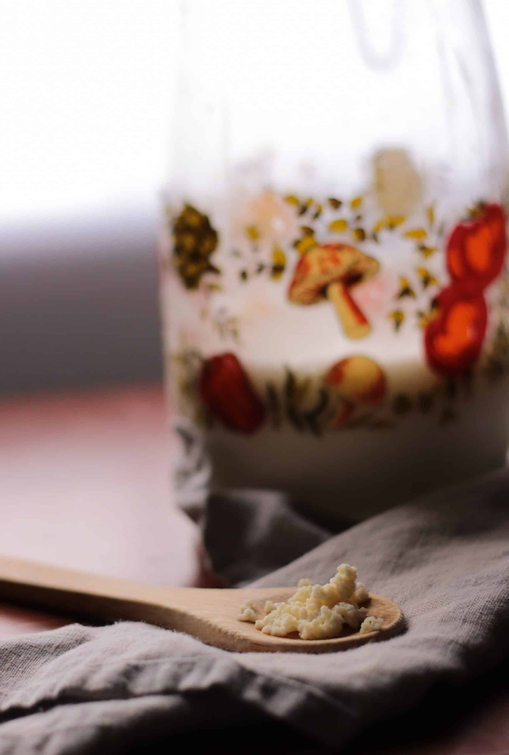 Raw Milk Kefir: Everything You Need to Know - Through the Wildwood