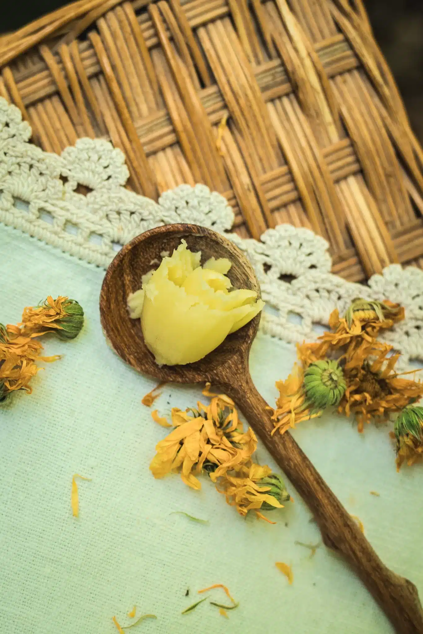 Homemade Paw Balm for Cats and Dogs - Through the Wildwood