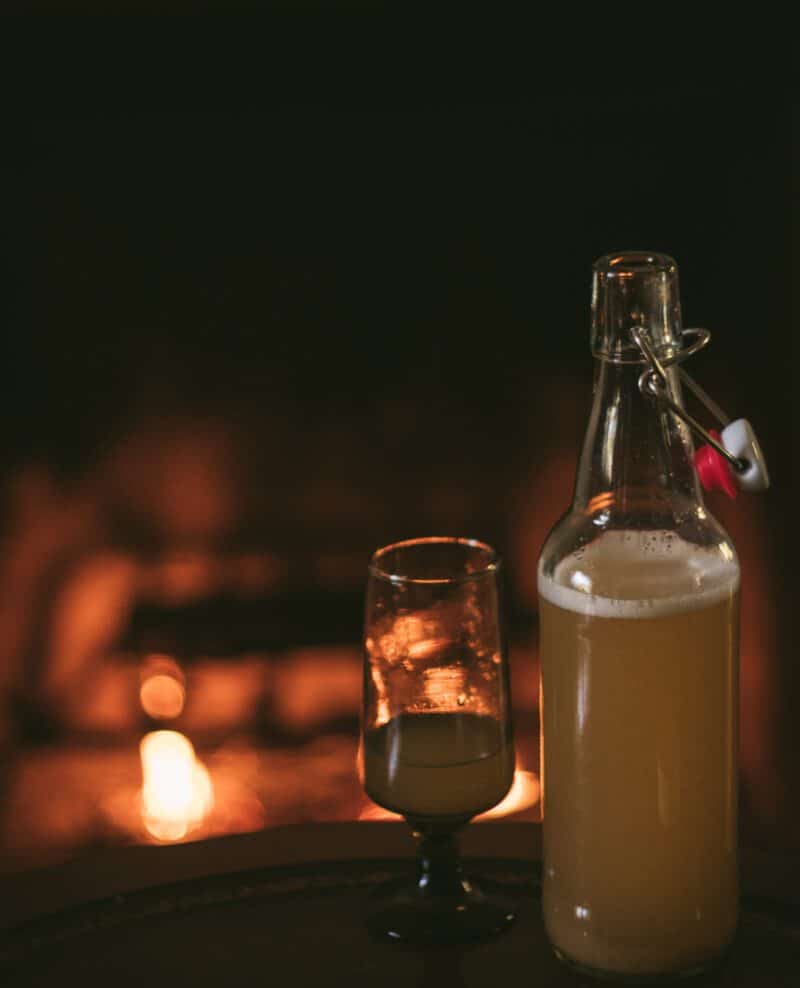 Green Tea Kombucha: Everything You Need to Know - Through the Wildwood