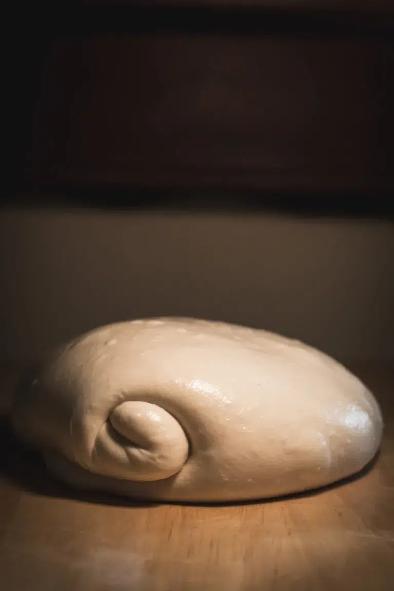 The Sourdough Process Explained Step-by-Step - Through the Wildwood