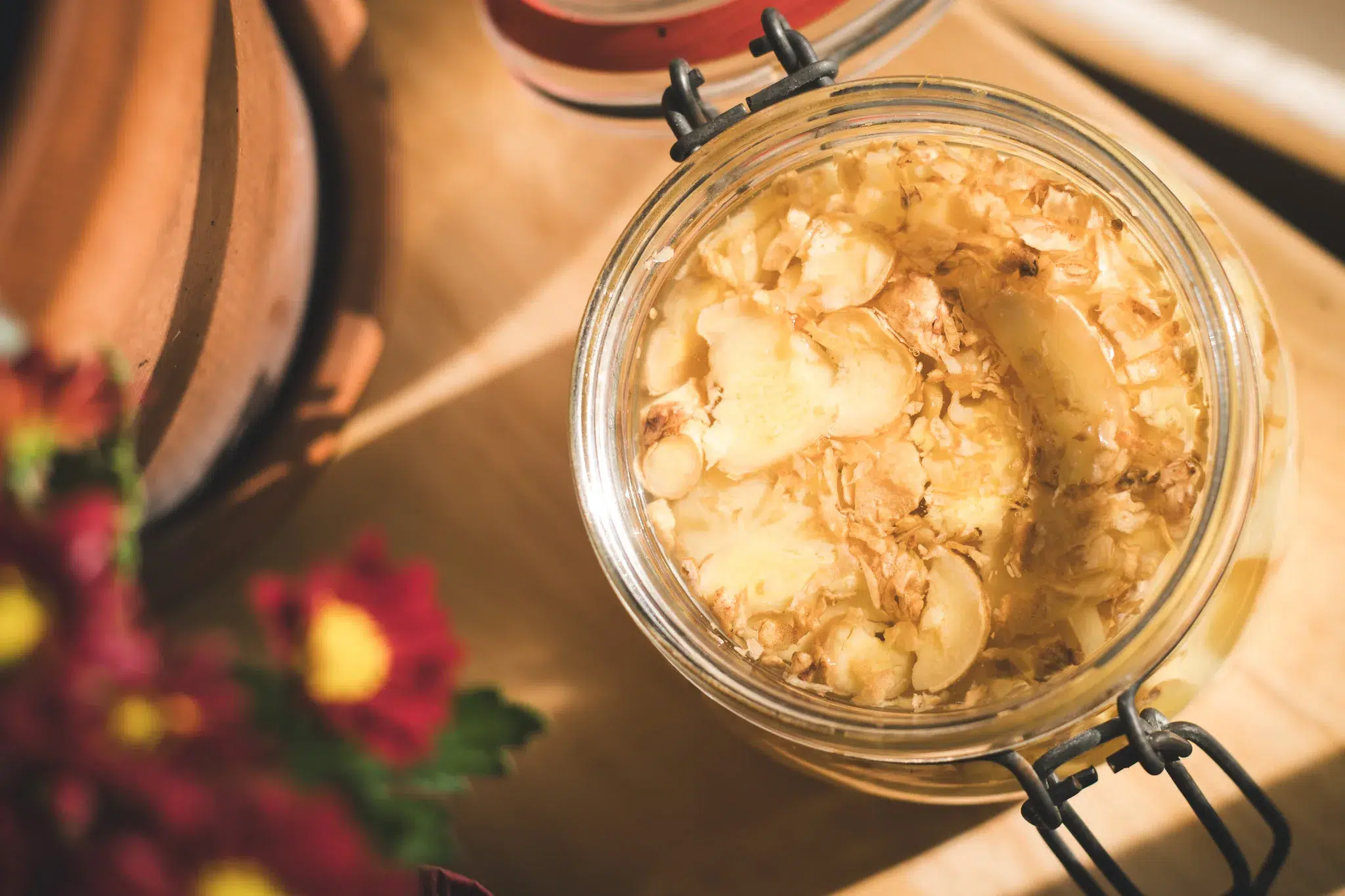 Simple and Easy Ginger Bug Recipe - Through the Wildwood